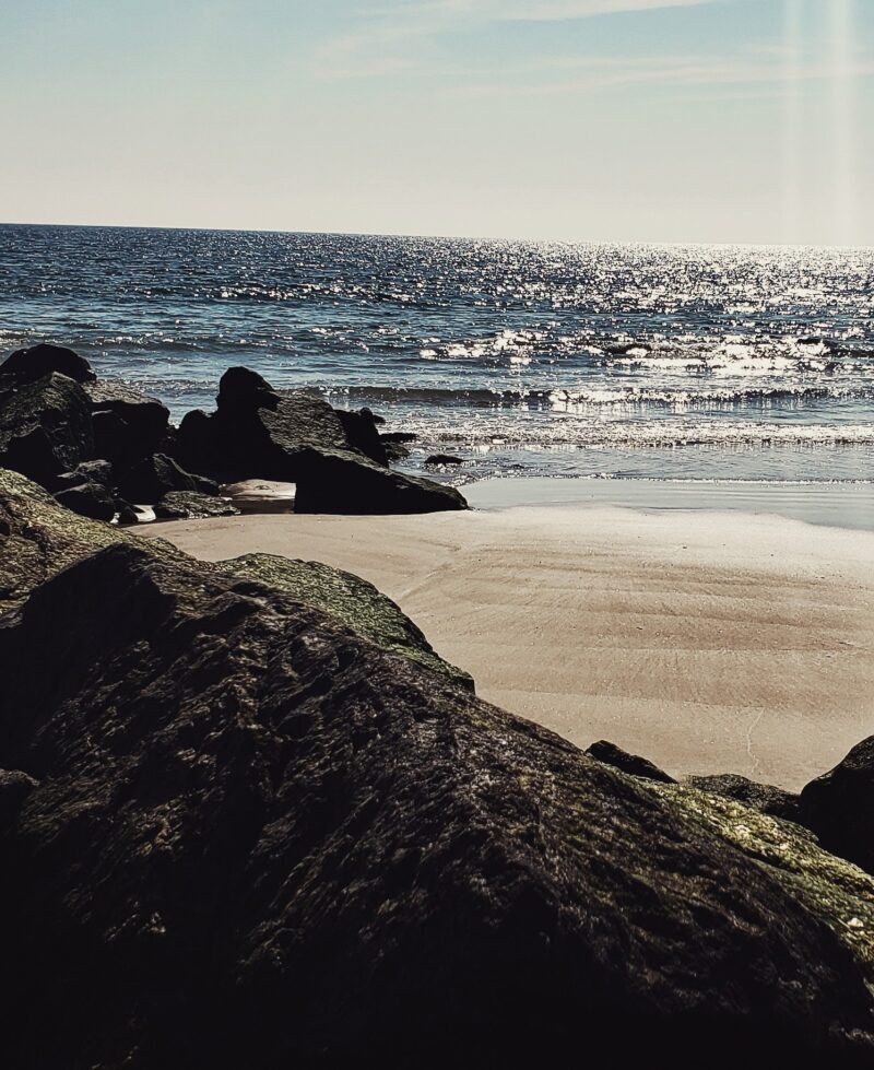 Train Your Mind, Mindfulness a Better Mind and a Better you